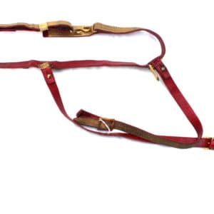 1860 British General Officers Belt - Waterloo Militaria